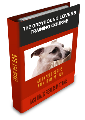Grey Hound Training: Learn All About Training Grey Hounds & Taking Care ...